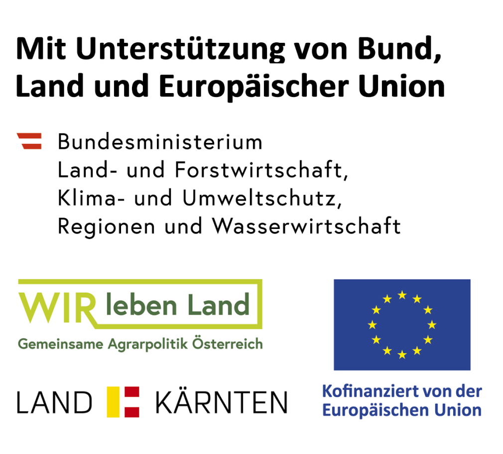 SORAVIUM – Sozialraumanalyse Region Villach-Umland – LAG Region Villach ...